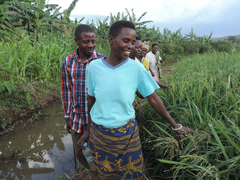 Rice Farming Program Combating Malnutrition in Rwanda | Partners In Health