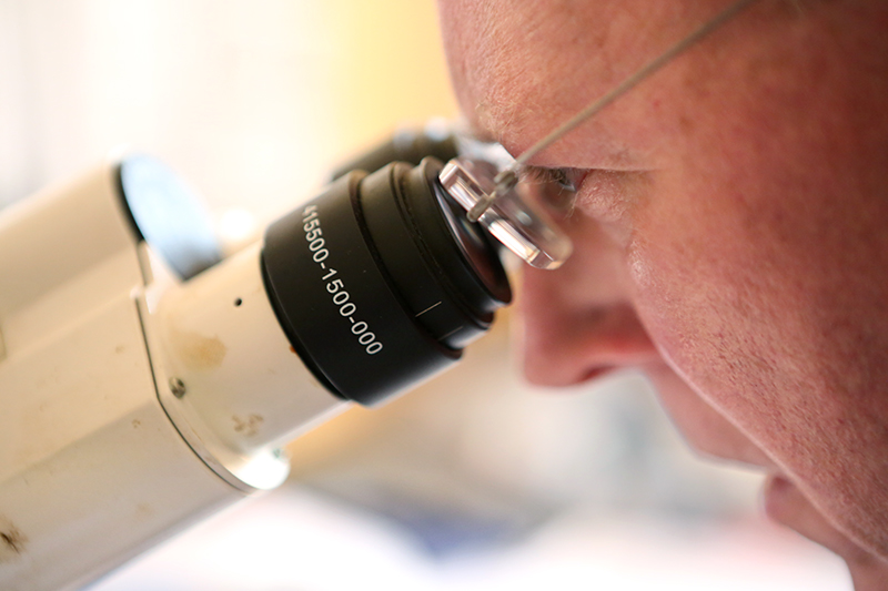 How Dr. Paul Farmer Revolutionized Tuberculosis Care | Partners In Health