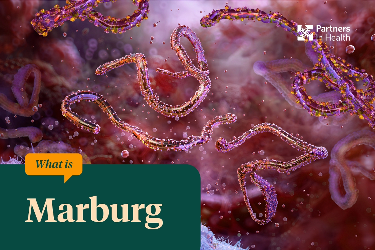 6 Things to Know About Marburg Virus Disease | Partners In Health